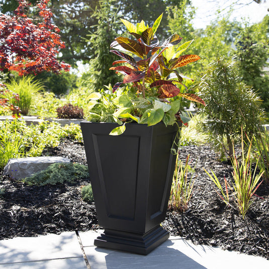 About Us – Mayne Inc. US