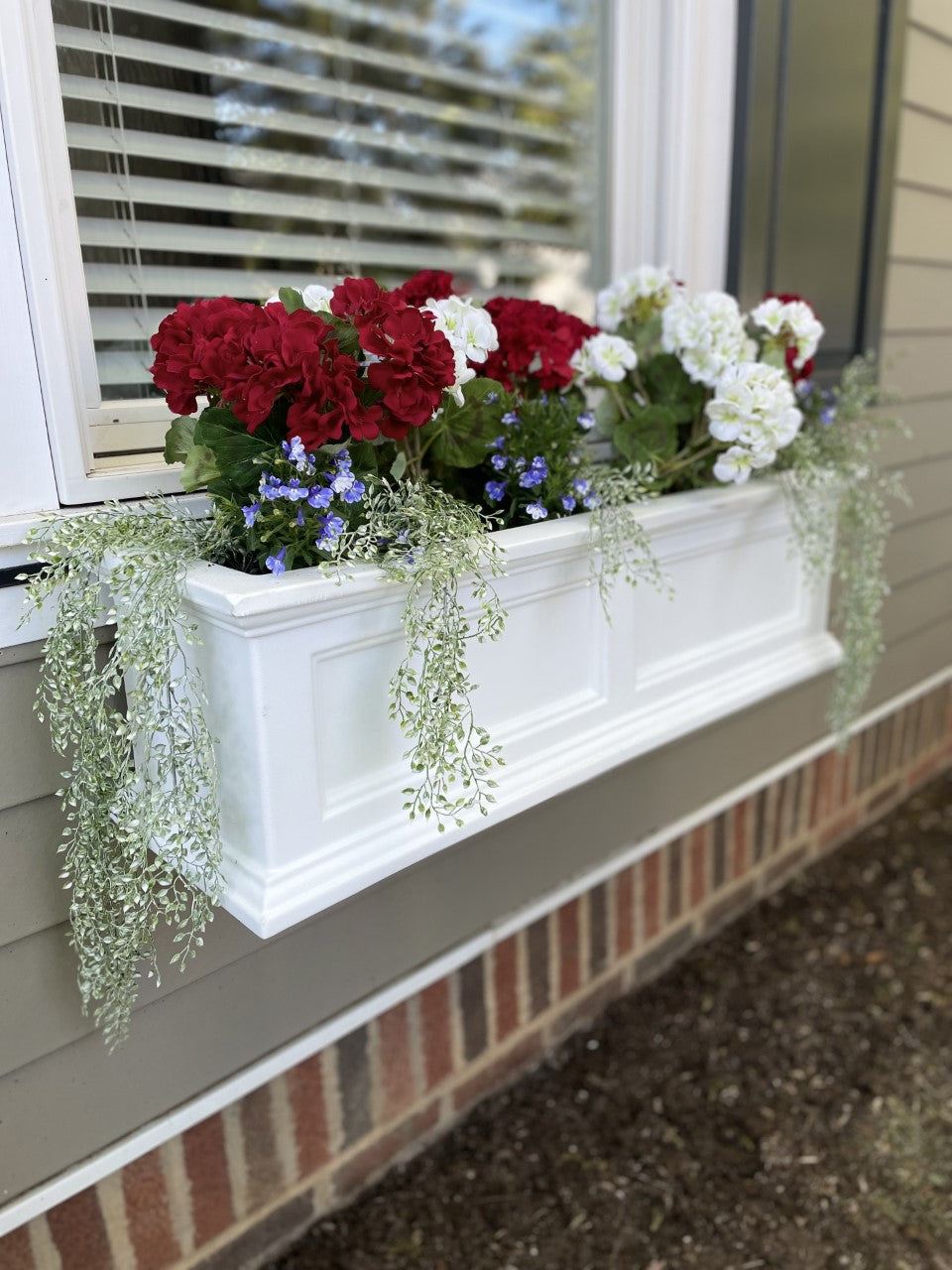 Photo Contest – Mayne Inc. US