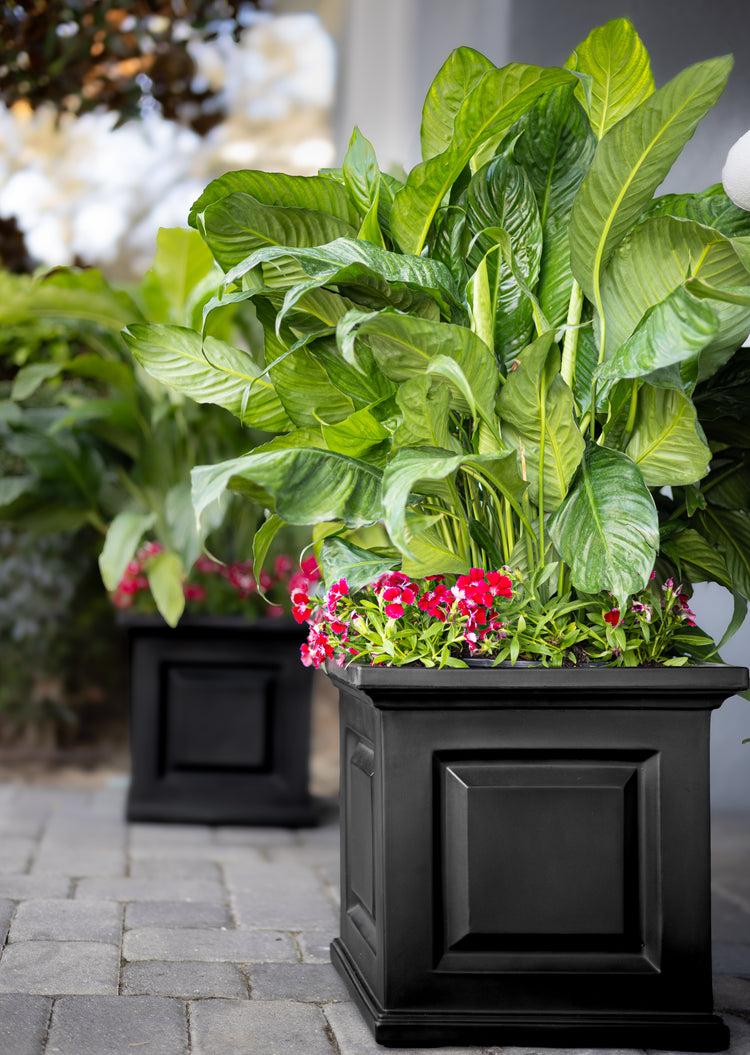 Mail Posts Collection – Mayne Inc. US