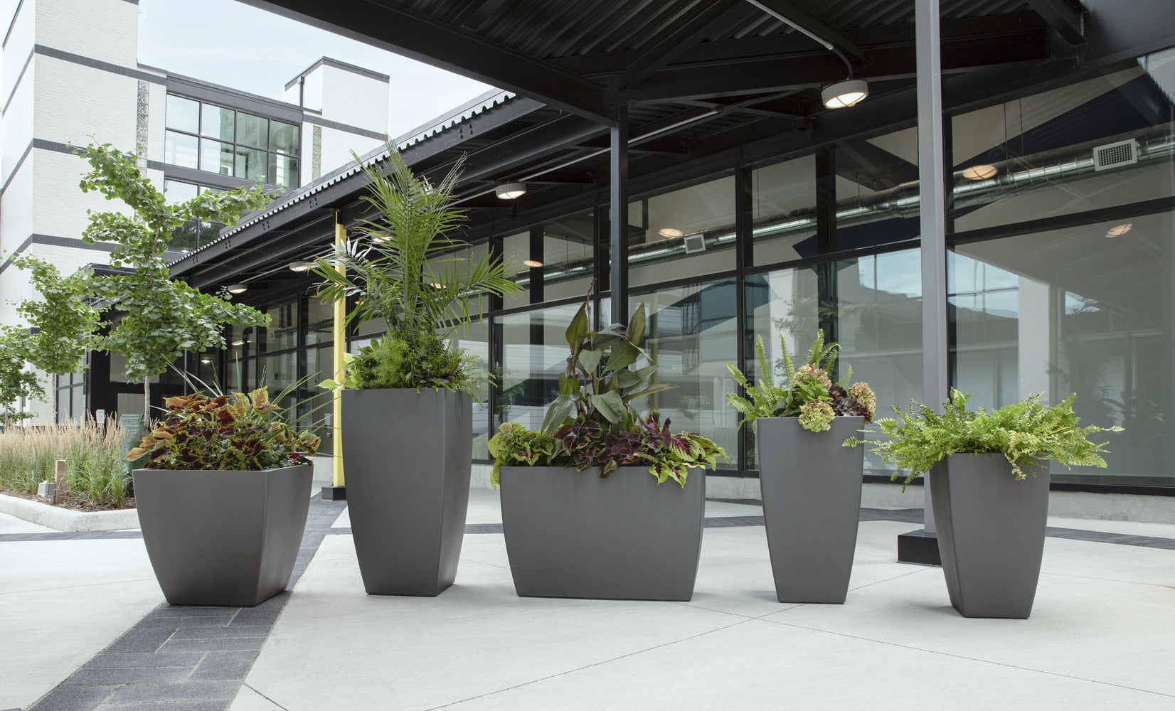 About Us – Mayne Inc. US