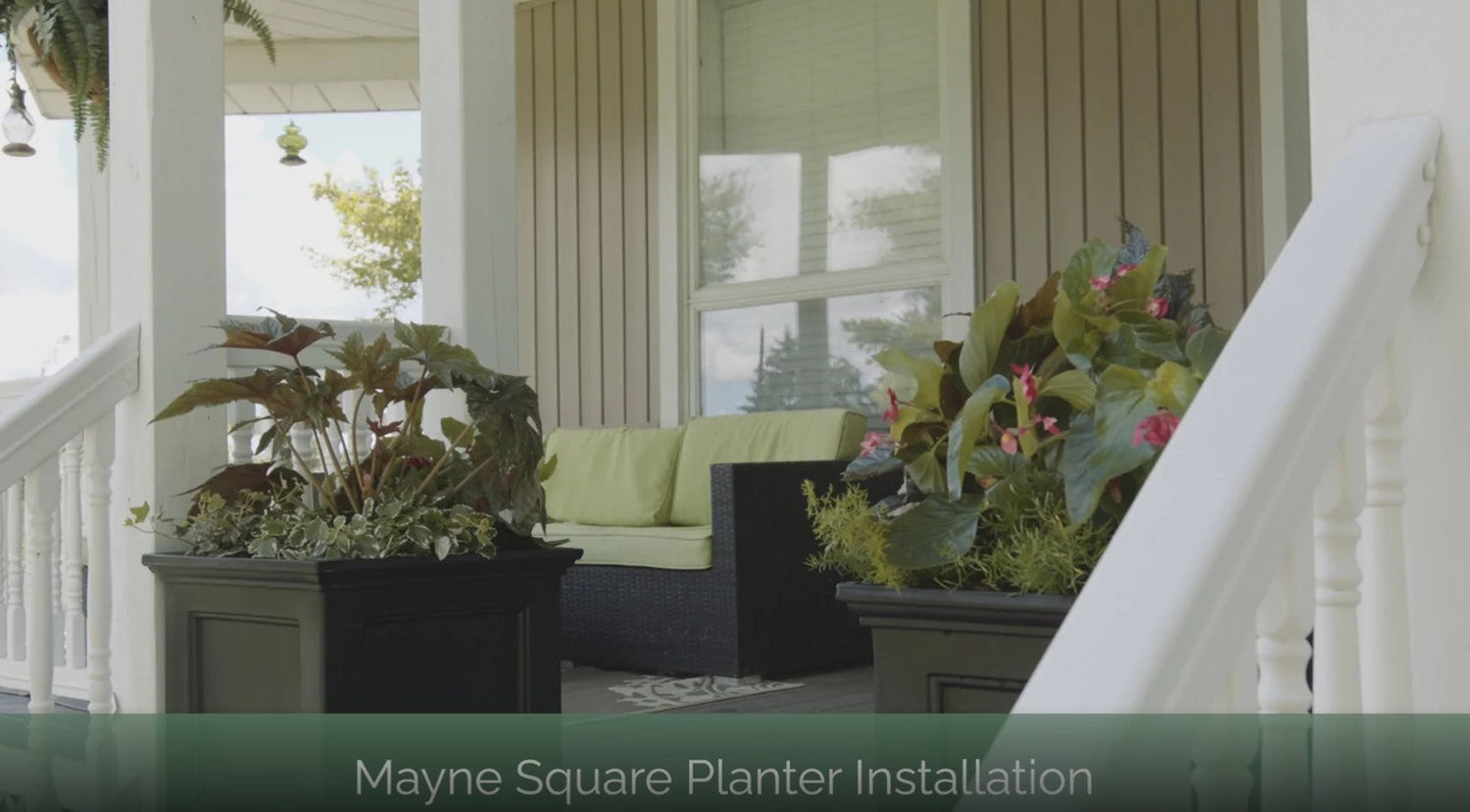 FAQ – Mayne Inc. US